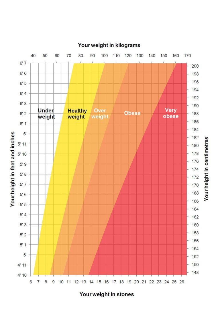 A weighty subject -three bio-impedance scales reviewed | Say Tomato!